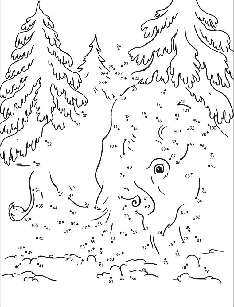 Wild Animals Dot to Dot Fun Paperback Grand Rabbits Toys In Boulder wild-animals-dot-to-dot-fun-paperback-grand-rabbits-toys-in-boulder